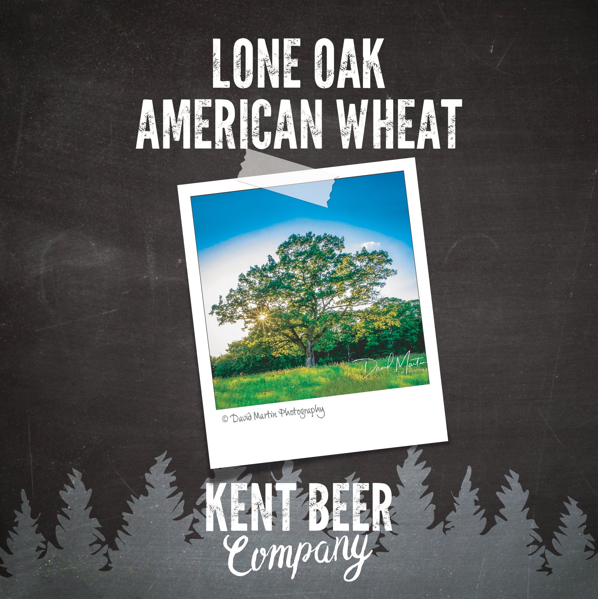 Lone Oak American Wheat | Kent Beer Company